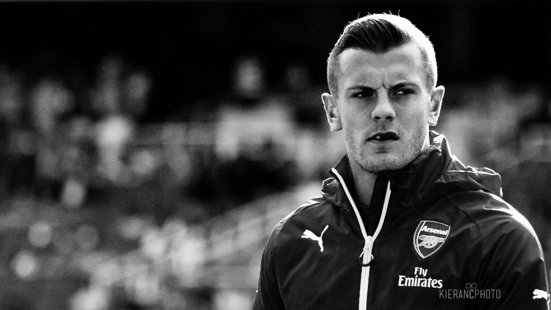 Next Plymouth Manager odds: Wilshere emerges as unlikely frontrunner